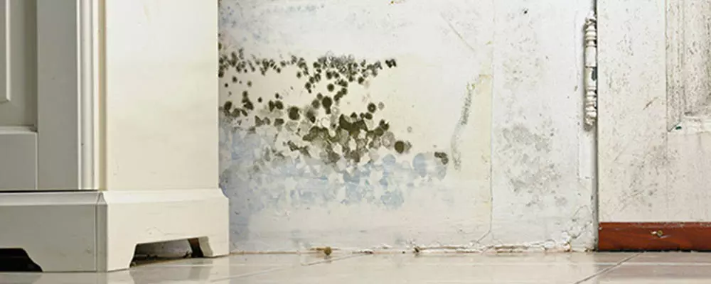 Top 4 Causes of Damp Problems in a House