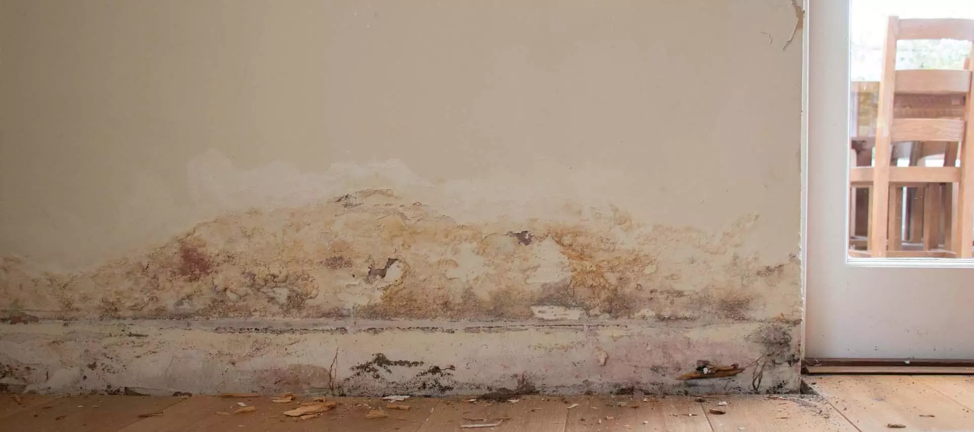 7 ways to damp proof your property